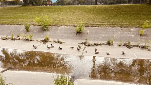 Best Hikes and Trails in Mccarty Park | AllTrails