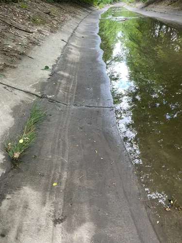 Best Hikes and Trails in Mccarty Park | AllTrails