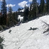 Historic Donner Pass Trail, California - 856 Reviews, Map | AllTrails