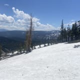 Historic Donner Pass Trail, California - 856 Reviews, Map | AllTrails