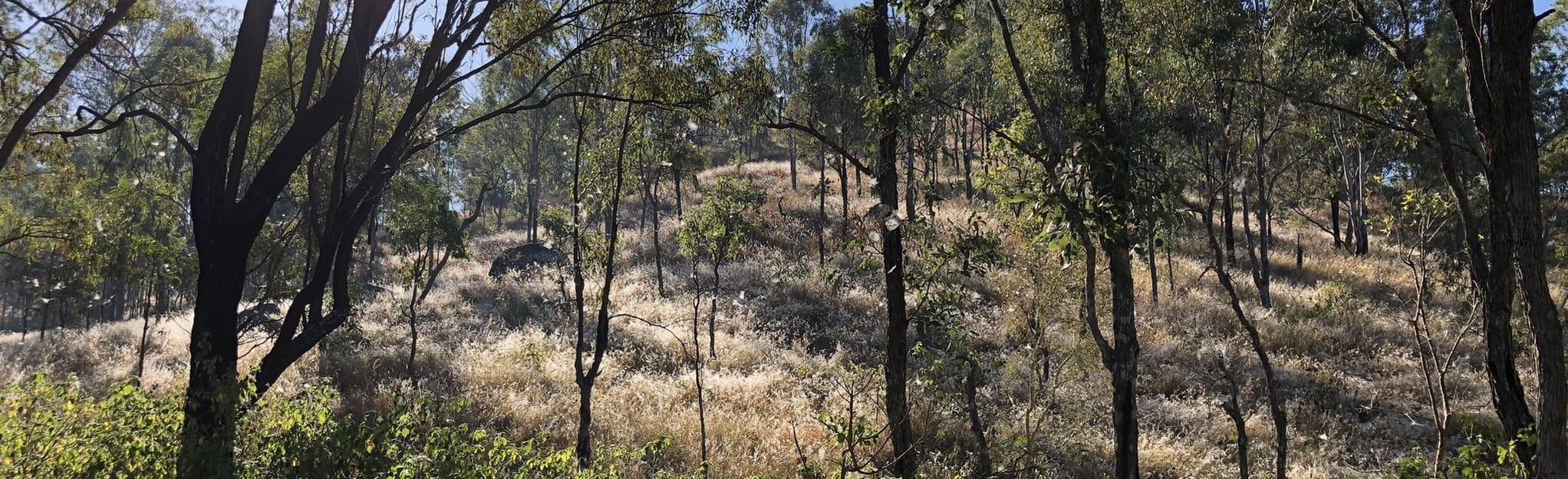 Boolboonda Rail Trail, Queensland, Australia - 3 Reviews, Map | AllTrails