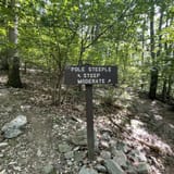 Pole Steeple Trail, Pennsylvania - 903 Reviews, Map | AllTrails