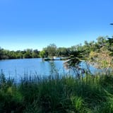 Lodi Lake Wilderness Trail, California - 683 Reviews, Map | AllTrails