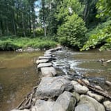 Difficult Run Trail, Virginia - 694 Reviews, Map | AllTrails
