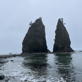 Rialto Beach Trail, Washington - 350 Reviews, Map | AllTrails