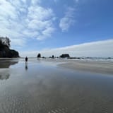 Rialto Beach Trail, Washington - 350 Reviews, Map | AllTrails