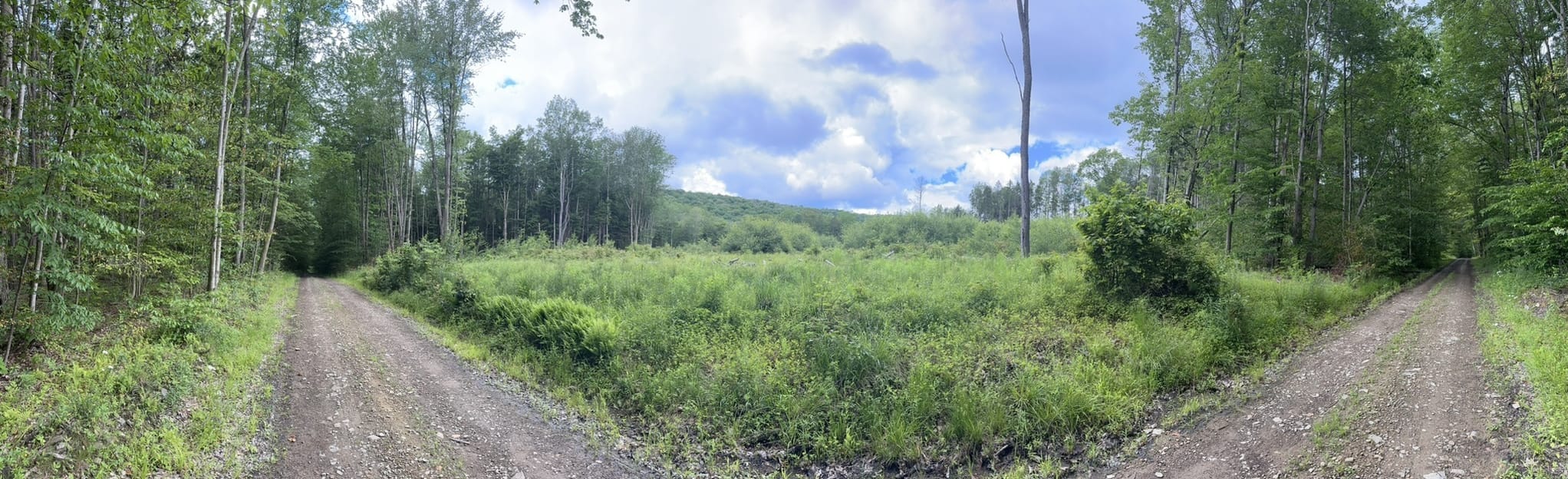 Figure 8 Trail, New York - 72 Reviews, Map | AllTrails