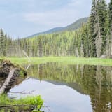 Raven Lake Trail, British Columbia, Canada - 117 Reviews, Map | AllTrails