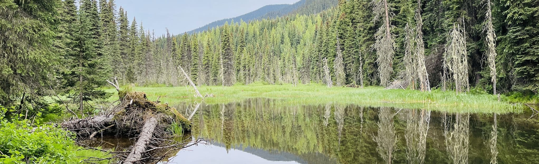 Raven Lake via Grizzly Trail, British Columbia, Canada - 4 Reviews, Map ...