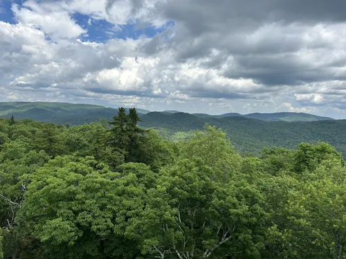 10 Best Hikes and Trails in Shaker Mountain Wild Forest | AllTrails