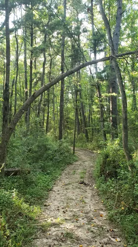 Best Hikes and Trails in Frenchtown Conservation Area | AllTrails