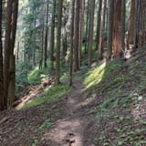Mount June Trail, Oregon - 239 Reviews, Map | AllTrails