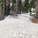 Venable-Comanche Trail, Colorado - 423 Reviews, Map | AllTrails