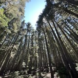 Yoran Lake Trail, Oregon - 72 Reviews, Map | AllTrails