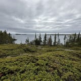 Suzy’s Cave Trail, Michigan - 168 Reviews, Map | AllTrails