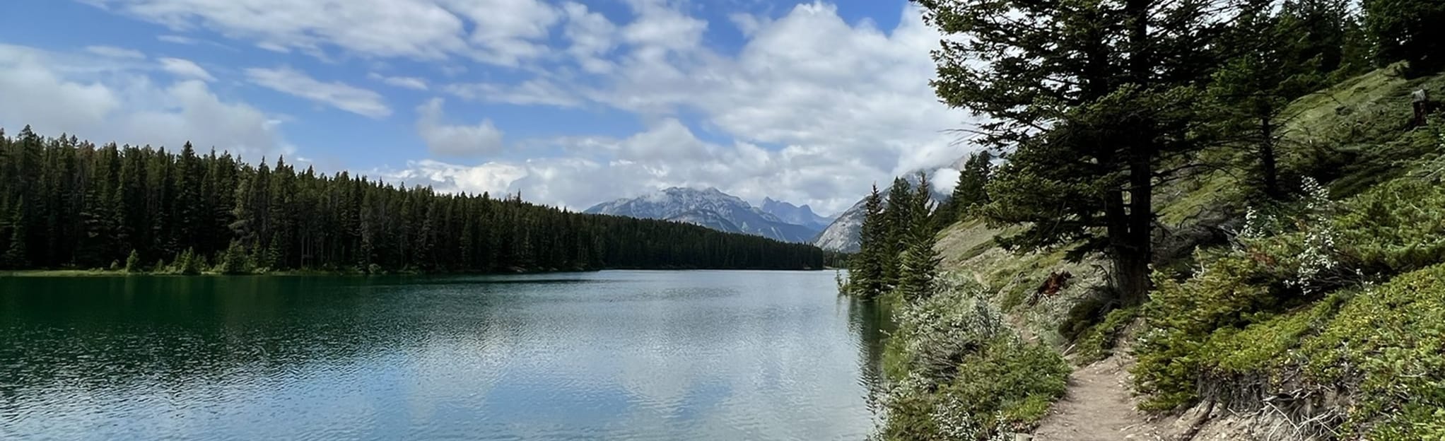 Johnson Lake, Alberta, Canada - 1,578 Reviews, Map | AllTrails