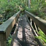 Wildside Trail, Washington - 199 Reviews, Map | AllTrails
