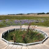 Vernal Pool Trail and Transpreserve Trail Loop, California - 339 ...