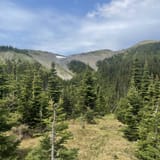 Raven Lake Trail, British Columbia, Canada - 117 Reviews, Map | AllTrails