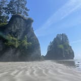 Rialto Beach Trail, Washington - 341 Reviews, Map | AllTrails