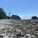 Rialto Beach Trail, Washington - 341 Reviews, Map | AllTrails