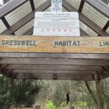 Gresswell Forest Loop, Victoria, Australia - 309 Reviews, Map | AllTrails