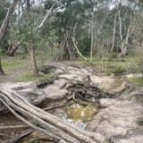 Gresswell Forest Loop, Victoria, Australia - 309 Reviews, Map | AllTrails