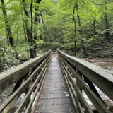 Gee Creek Falls Trail, Tennessee - 648 Reviews, Map | AllTrails