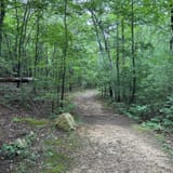 Gee Creek Falls Trail, Tennessee - 648 Reviews, Map | AllTrails
