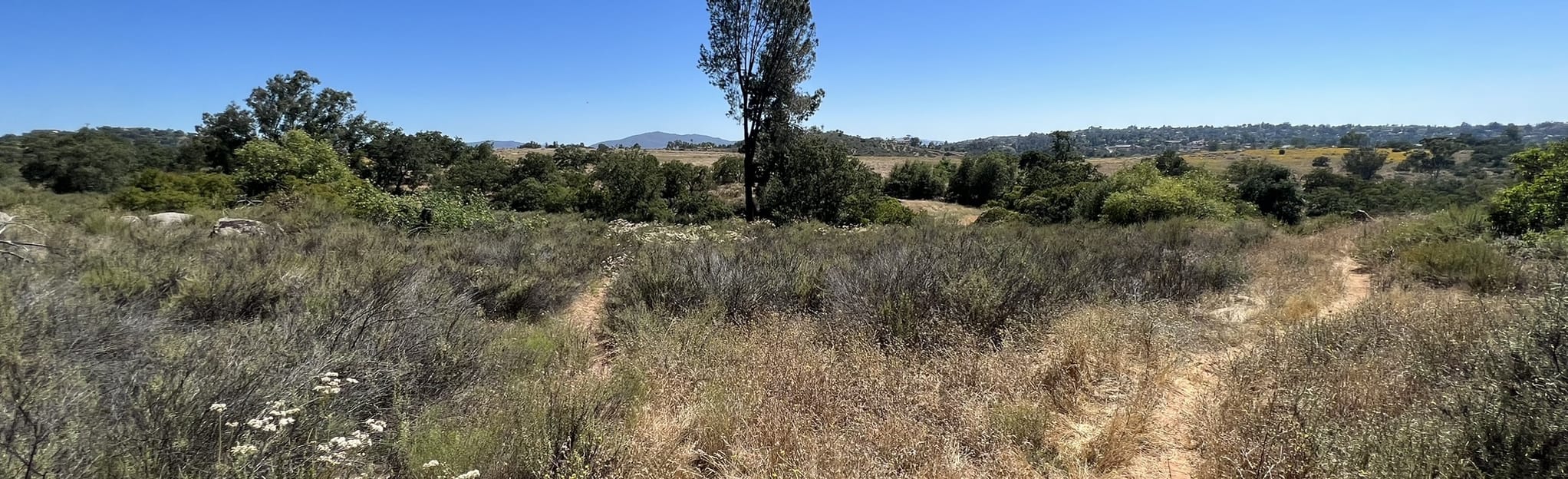Wright's Field, California - 409 Reviews, Map | AllTrails