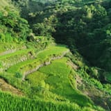 Buscalan Tinglayan, Kalinga, Philippines - 10 Reviews, Map | AllTrails