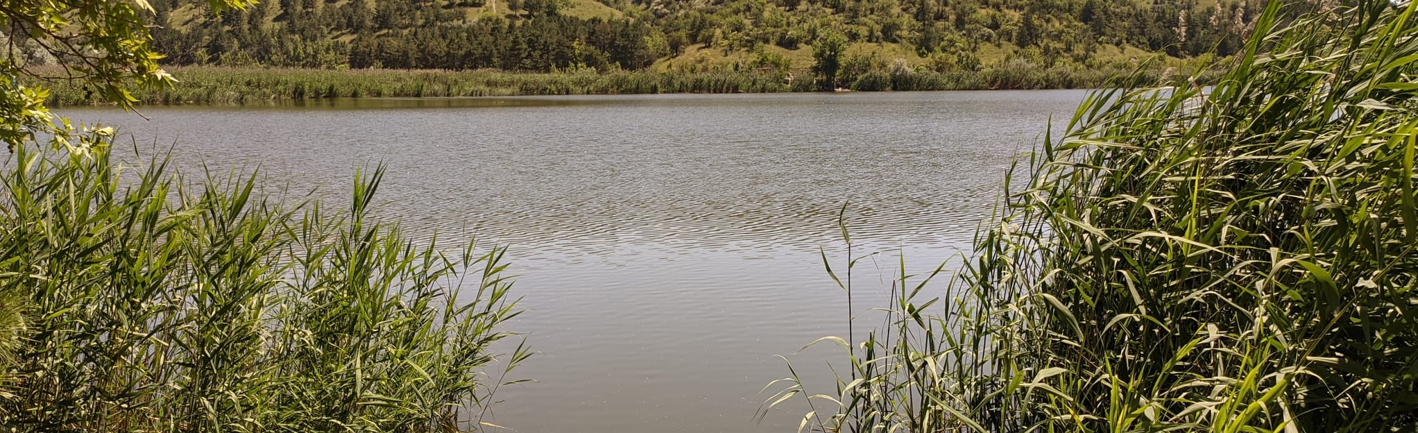 Eymir Lake Loop: 3 Reviews, Map - Ankara, Turkey | AllTrails