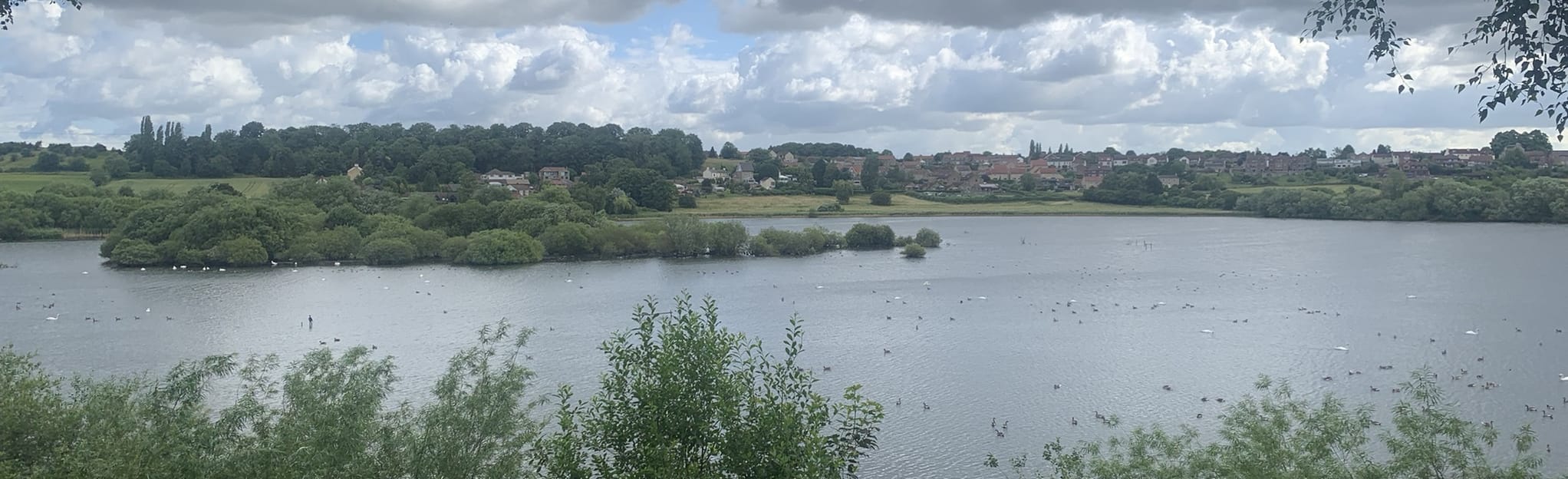 Fairburn Ings and Ledsham Circular, West Yorkshire, England - 277 ...