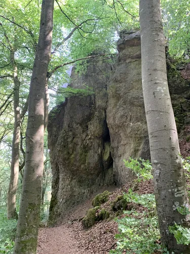 Best Camping Trails in Gerolstein | AllTrails