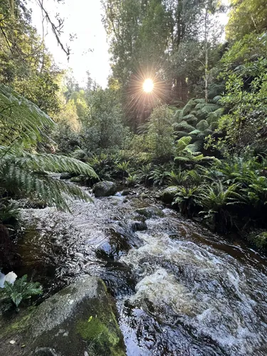 Best Hikes and Trails in Evercreech Regional Reserve | AllTrails