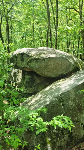 Best Hikes and Trails in Mount Davis Natural Area | AllTrails