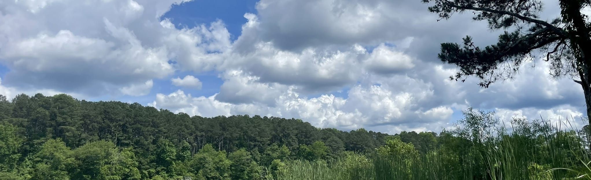 Lake Acworth Paddle Route, Georgia - 24 Reviews, Map | AllTrails