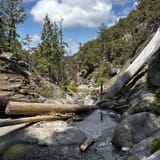 Viola Falls, California - 277 Reviews, Map | AllTrails