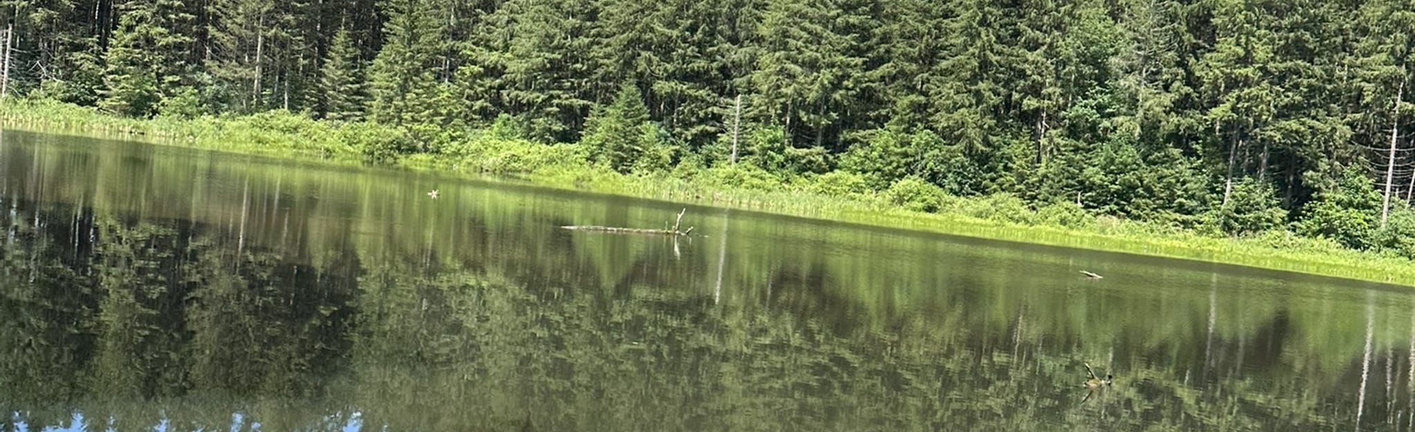 Tinker Falls Upper, New York - 380 Reviews, Map | AllTrails