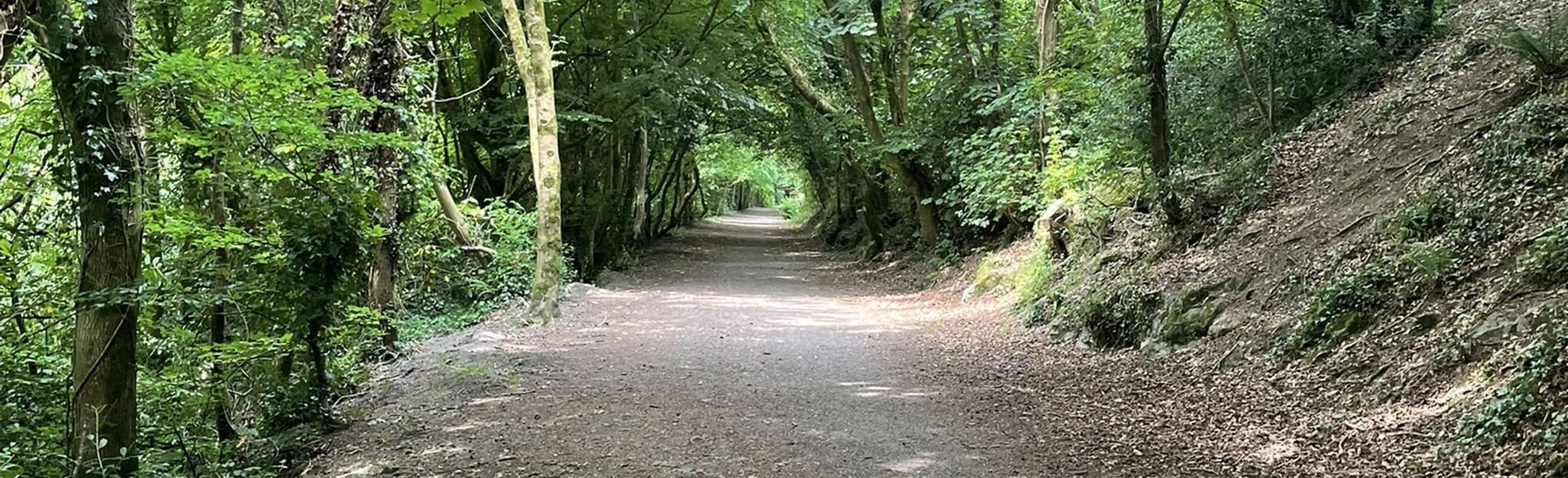 St Austell, Clay Trails and Menacuddle Well, Cornwall, England - 18 ...