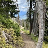 Goodwin Lake Trail, Wyoming - 320 Reviews, Map | AllTrails