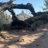 Church Rock Trail, New Mexico - 459 Reviews, Map | AllTrails