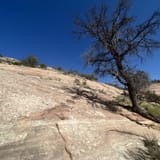 Church Rock Trail, New Mexico - 459 Reviews, Map | AllTrails