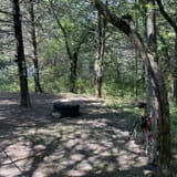 Sac River Trail, Missouri - 487 Reviews, Map | AllTrails