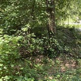 Santos and Vortex Area Bike Trails Loop, Florida - 728 Reviews, Map ...