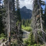 Entiat River Trail, Washington - 9 Reviews, Map | AllTrails