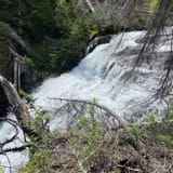 Entiat River Trail, Washington - 9 Reviews, Map | AllTrails