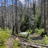 Entiat River Trail, Washington - 9 Reviews, Map | AllTrails