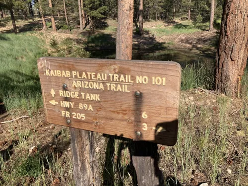 2023 Best Backpacking Trails in Jacob Lake | AllTrails