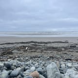 Rialto Beach Trail, Washington - 282 Reviews, Map | AllTrails